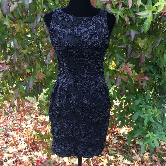 Carmen Marc Valvo | Dresses | Luxe By Carmen Marc Valvo Black Lace ...